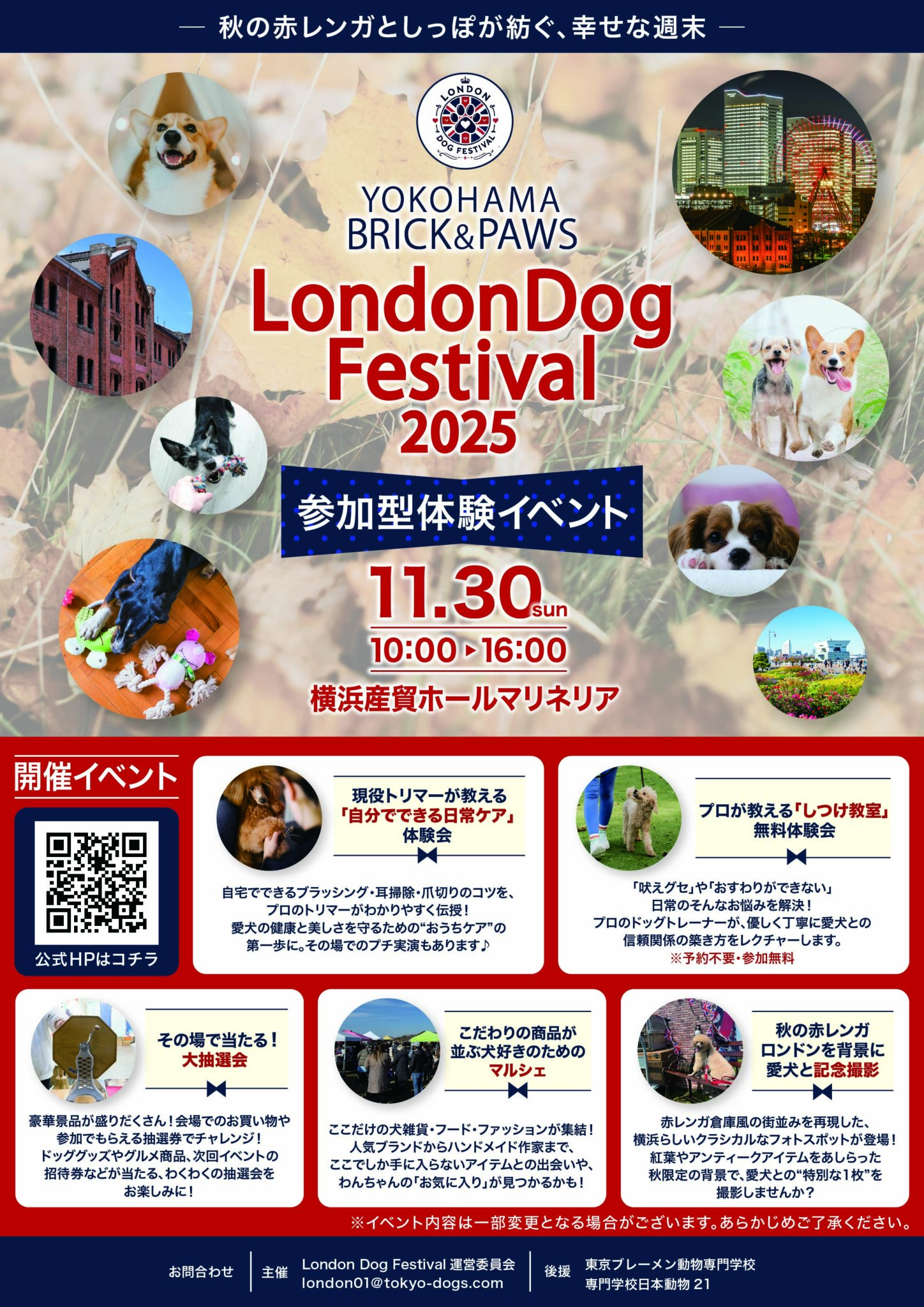 London Dog Festival YOKOHAMA BRICK & PAWS ─ 秋の赤レンガとしっぽが紡ぐ、幸せな週末 ─【2025年 ...